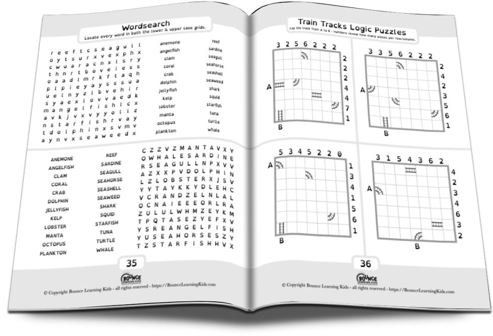 2 dyslexia activity books - comfortable to read puzzles